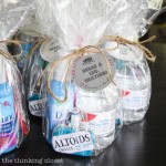 The Actor's Survival Kit & Silhouette Promotion - the thinking closet